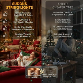 Christmas Light Blinker