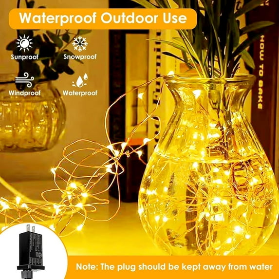 YUYAN-2Pack Each 33Ft 100 LED Fairy Lights Plug in with Remote ...