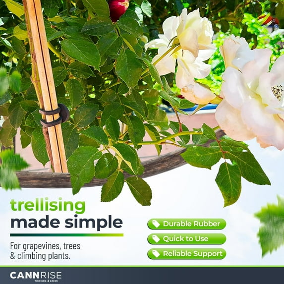 YUYAN-Anchor Bands for Trellising - 33-Pack 12 cm/4.72 in Rubber Vine Ties, UV-Protected Bands ...