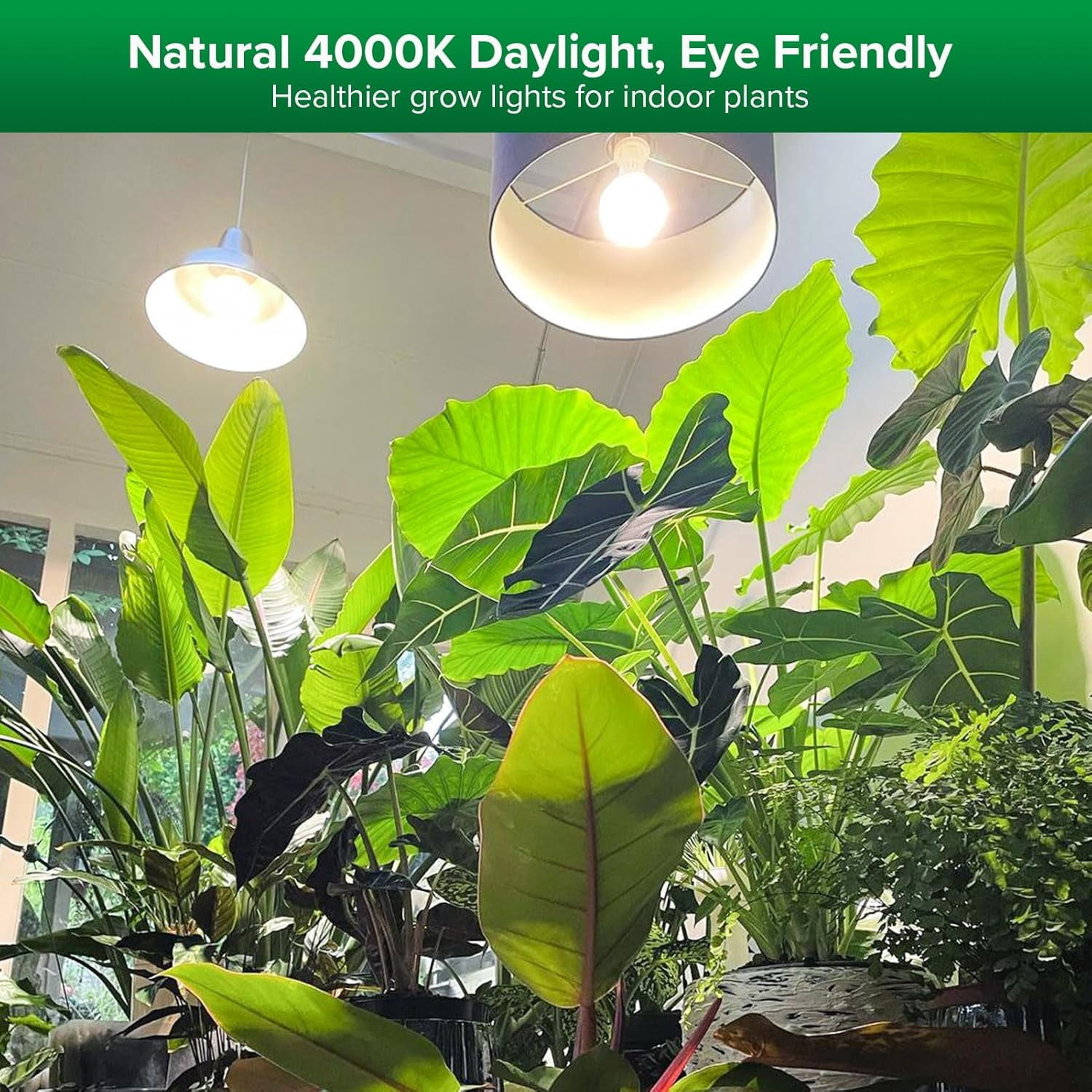 YUYAN-Grow Light Bulb with COC Technology, Full Spectrum 15W Grow Lamp ...