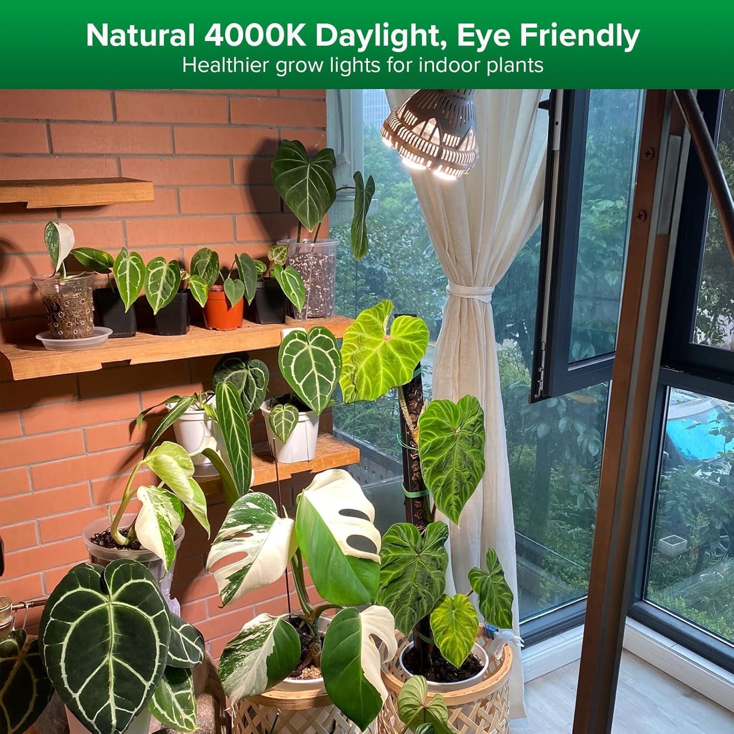 YUYAN-Grow Light Bulb with COC Technology, Full Spectrum 24W Grow Lamp ...