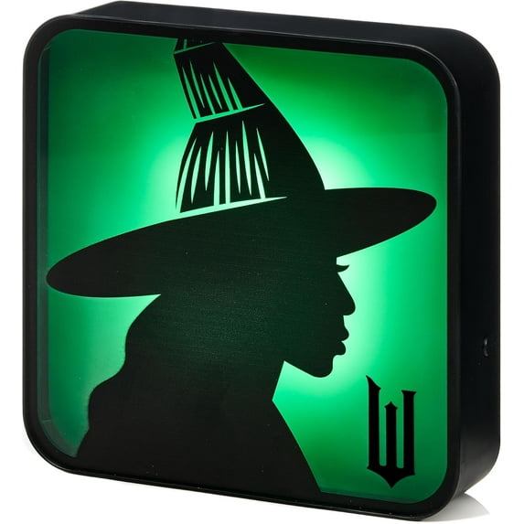 YUYAN-Official Wicked Acrylic Elphaba The Witch Desk Lamp Wall Light ...