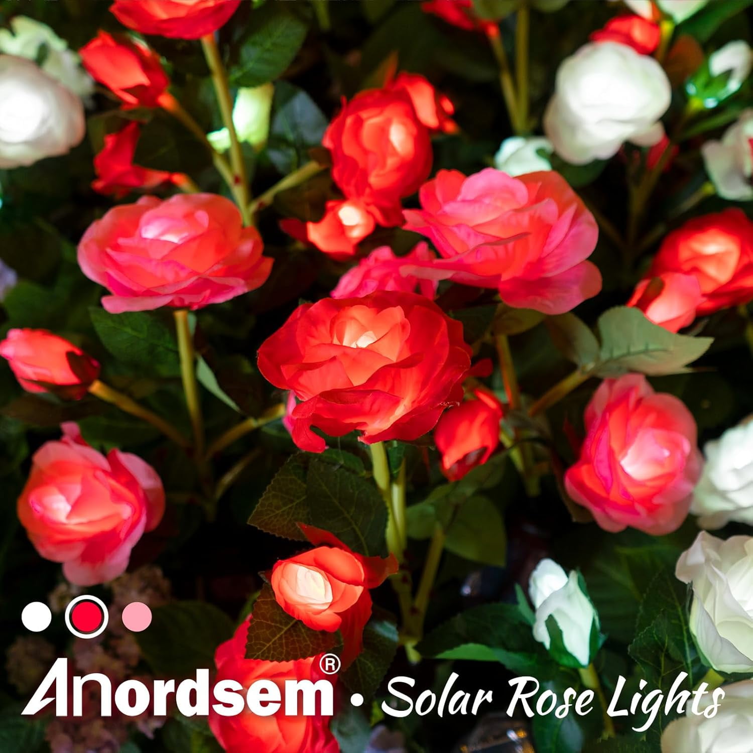 YUYAN-Solar Garden Lights Outdoor: 5 Realistic Artificial Red Roses ...