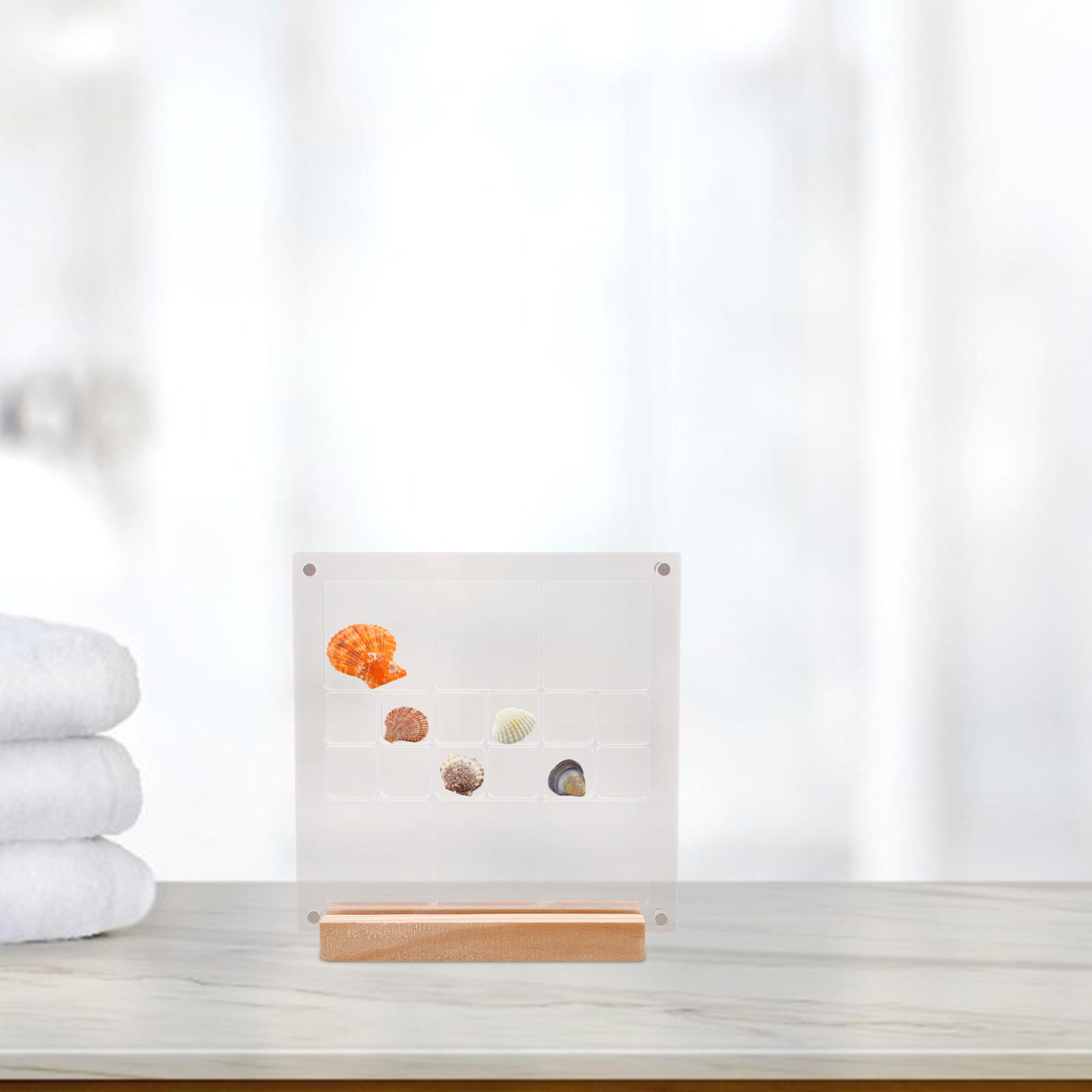 YUYUETIME Seashell Holder Clear Acrylic Box 1 Set Tiny Sea Shell ...