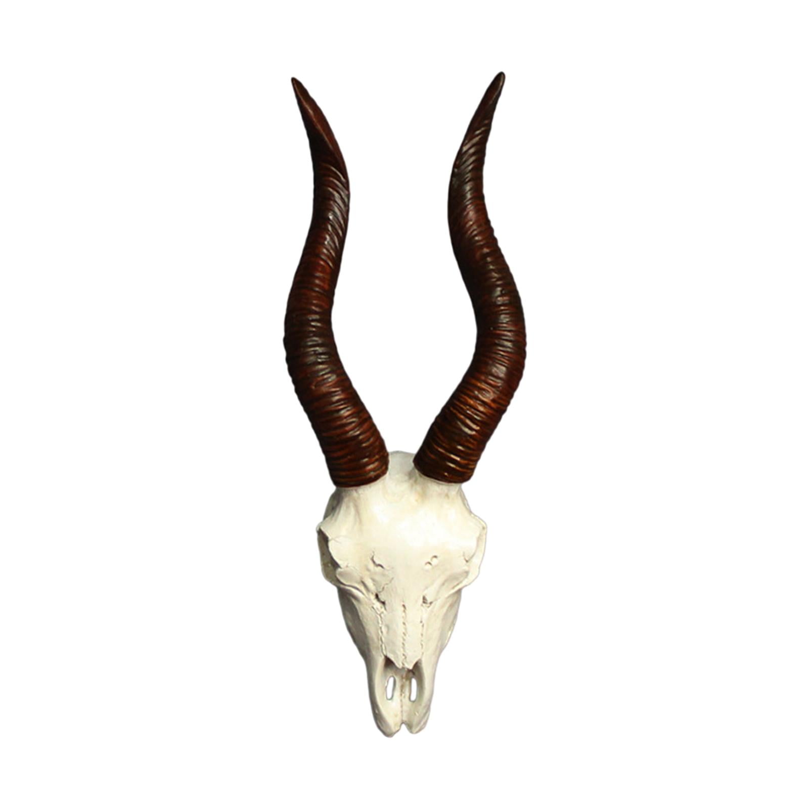 YWMJZEU Resin Sheep Head Wall Sculpture Wall Decor Animal Statue ...