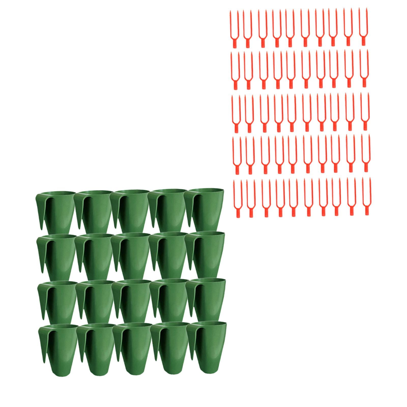 YWMJZEU Strawberry Roots Propagation Station Bare Root Strawberry ...