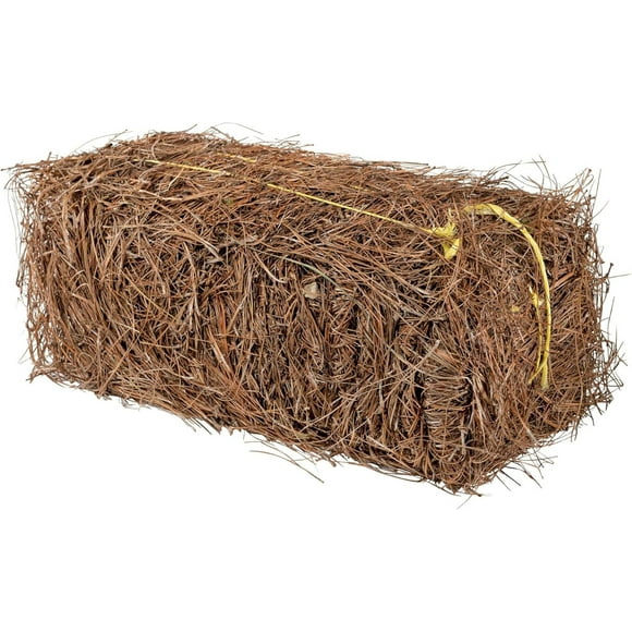 Pine Straw in Mulch - Walmart.com