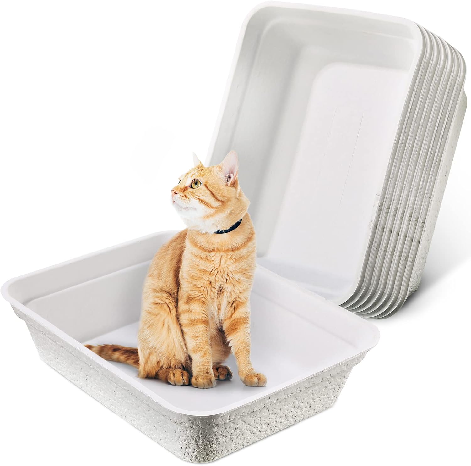 YYYYYY 8 Pcs Disposable Litter Boxes for Cats, Paper Kitten Trays 16.7 ...