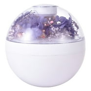 DAKIMOE Portable Mini Humidifier for Indoor Living, Travel, 300ml Cool ...