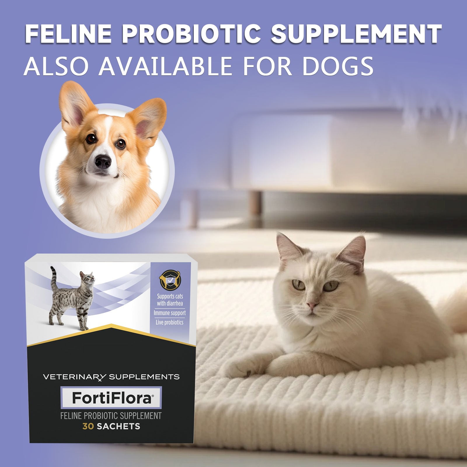 YZWEI Dog Stool Hardener, Constipation Relief For Cats, Cat Diarrhea ...