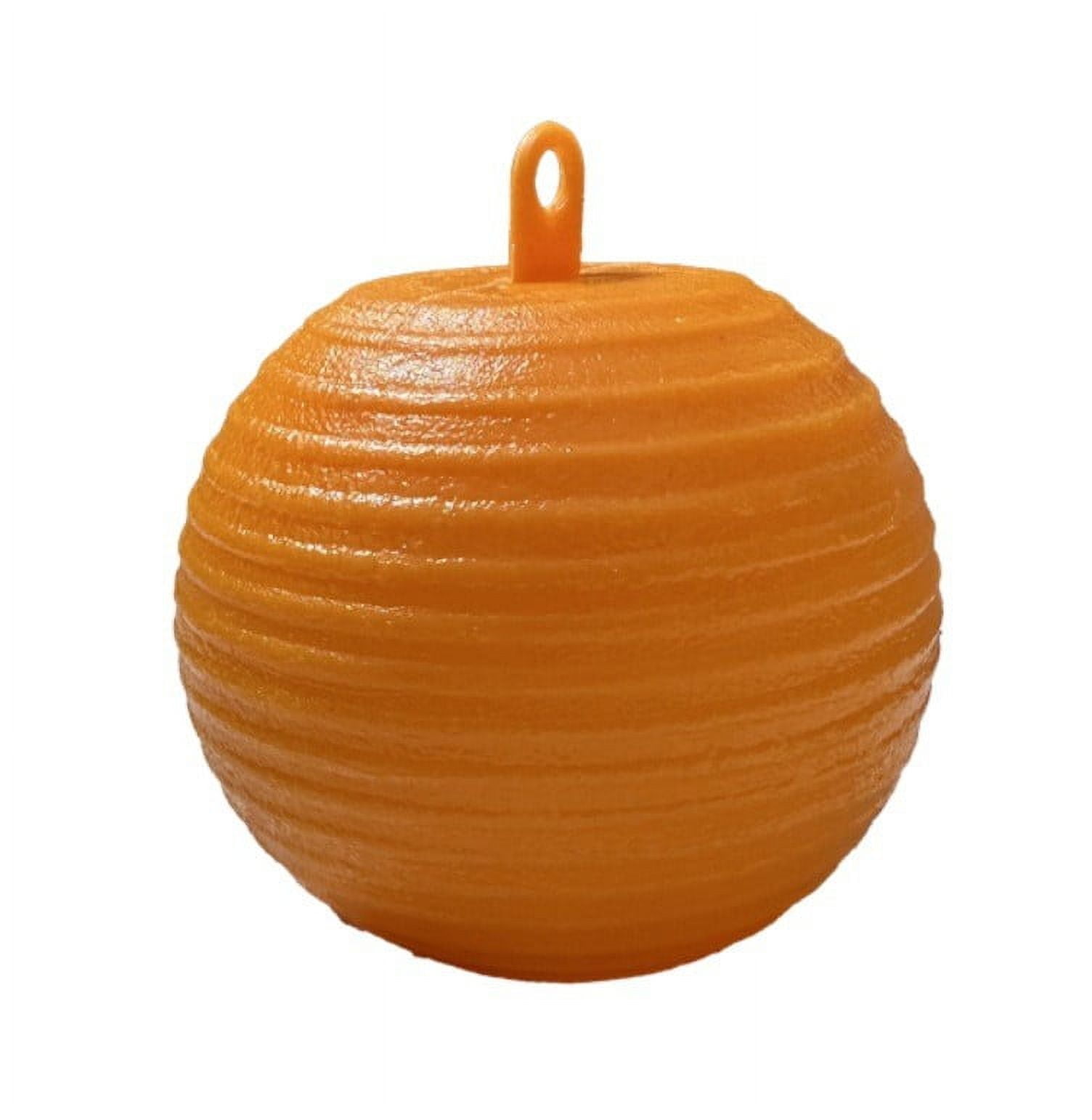 YZWEI Sticky Adhesive Fruit Fly Trap Ball, Catch Flies, Gnats, Wasps ...