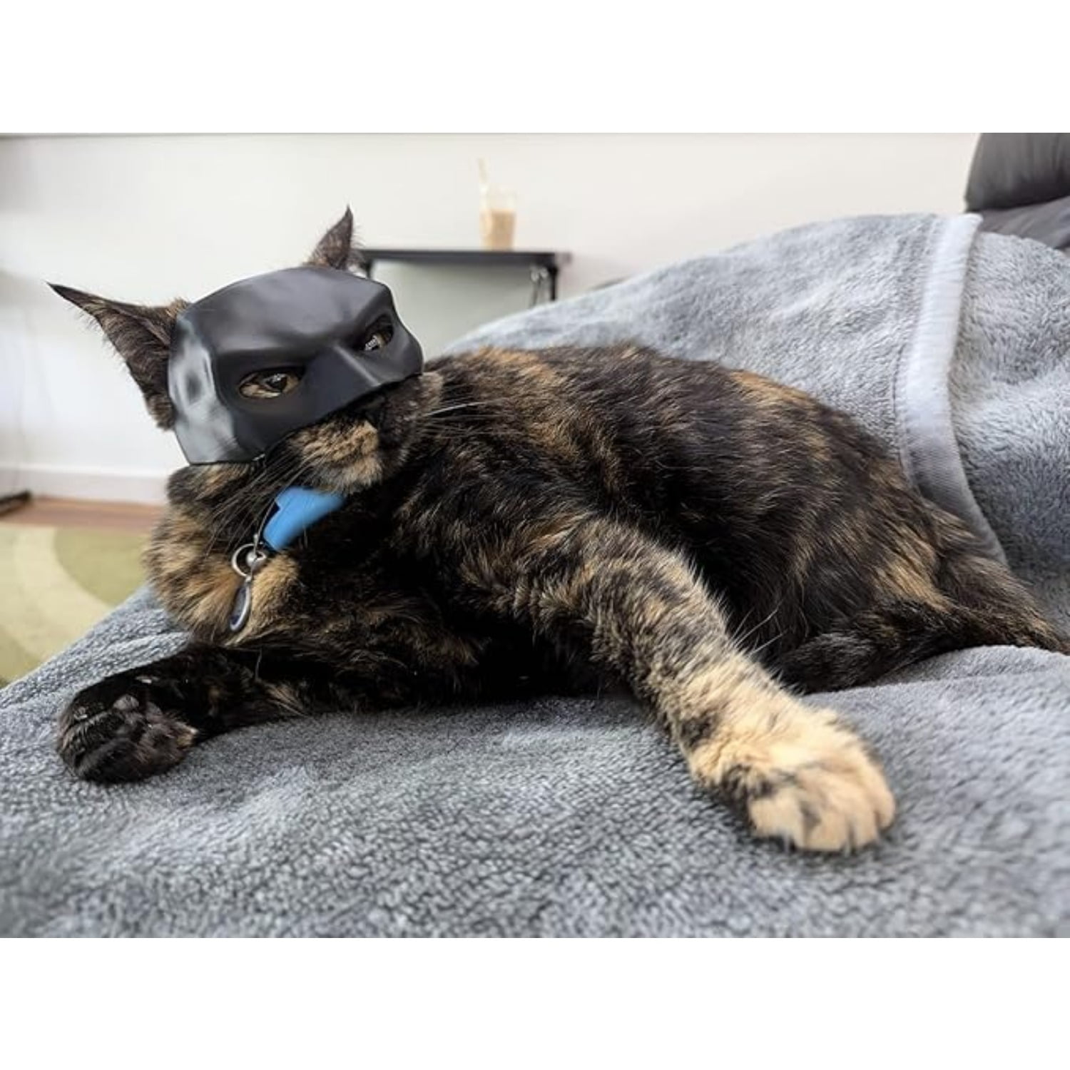 YZhouD Cat Bat Cosplay Mask Hilarious Cat Halloween costumes Pet ...