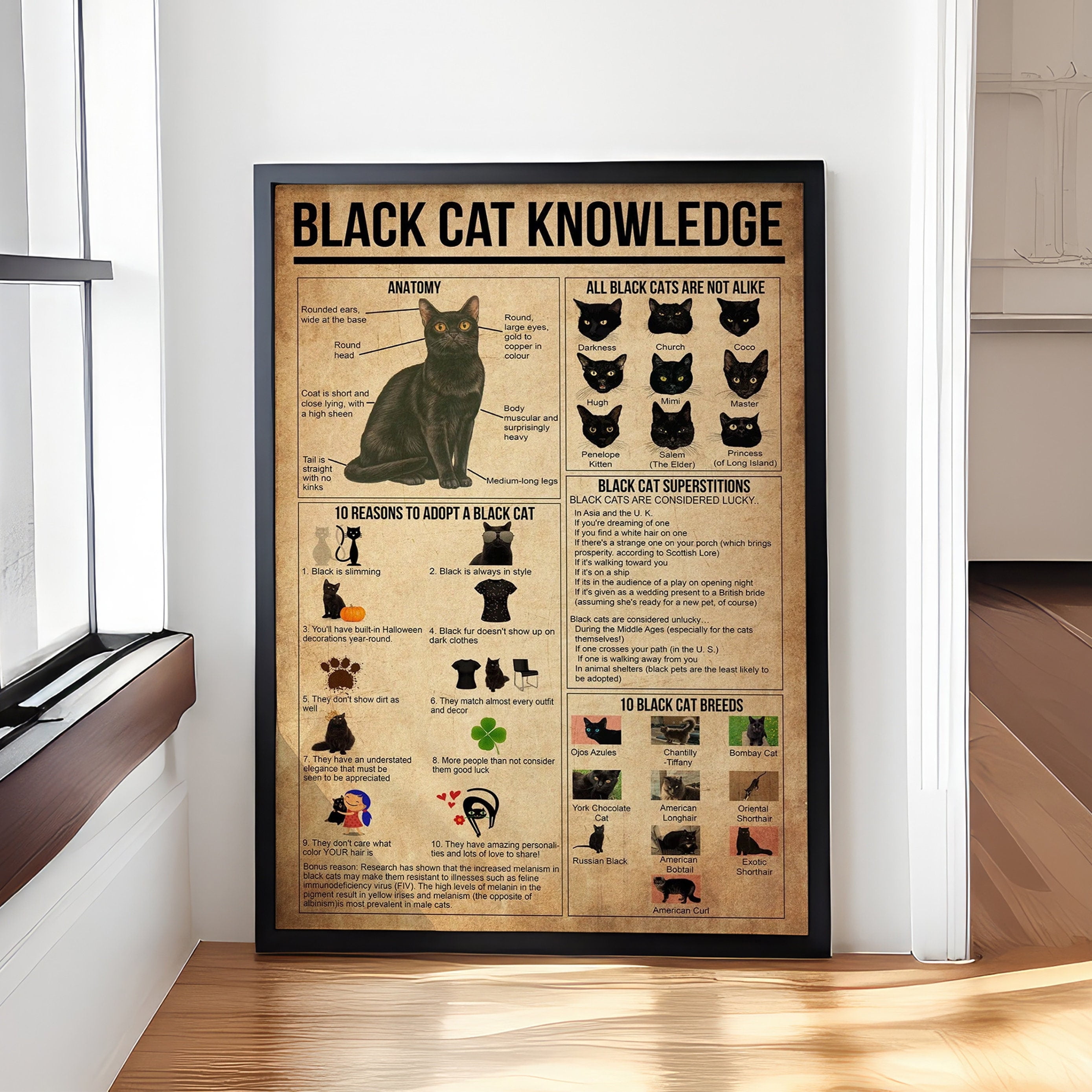 YaHaku Black Cat Knowledge Poster, Vintage Knowledge Poster, Knowledge ...