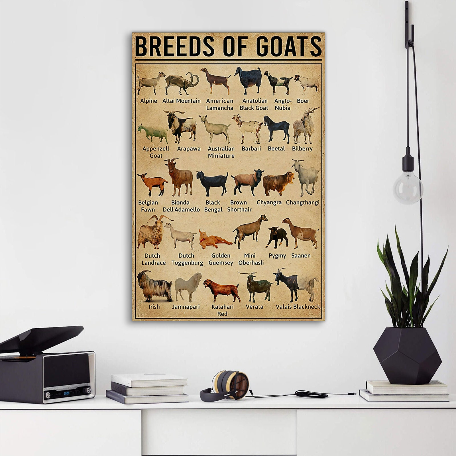 YaHaku Breeds Of Goats Poster, Knowledge Poster, Vintage Poster Wall ...
