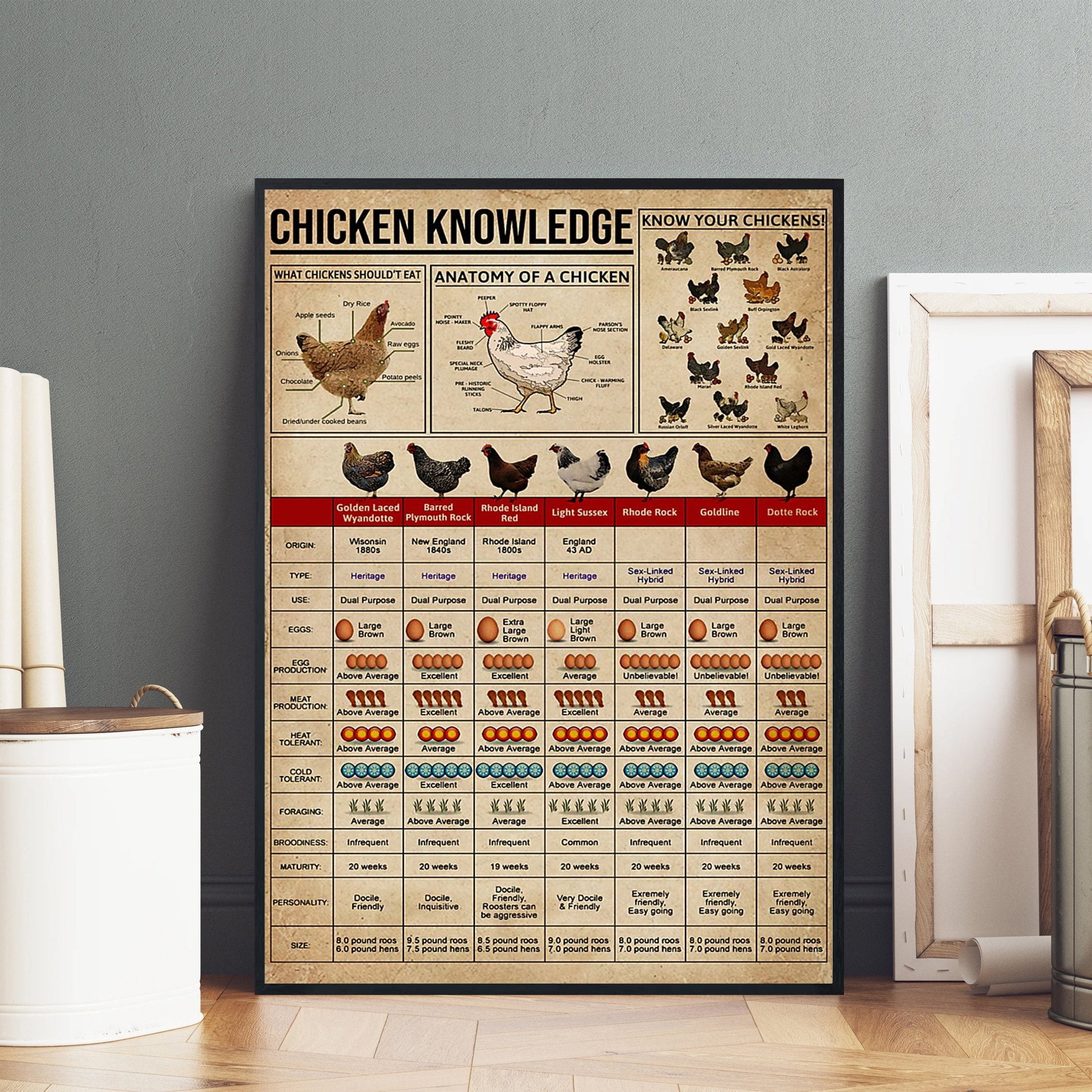YaHaku Chicken Knowledge Poster, Chicken Anatomy Chart, Chicken Breeds ...