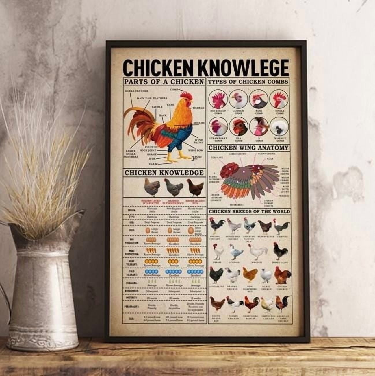 YaHaku Chicken Knowledge Poster, Chicken Breeds Of The World Print ...