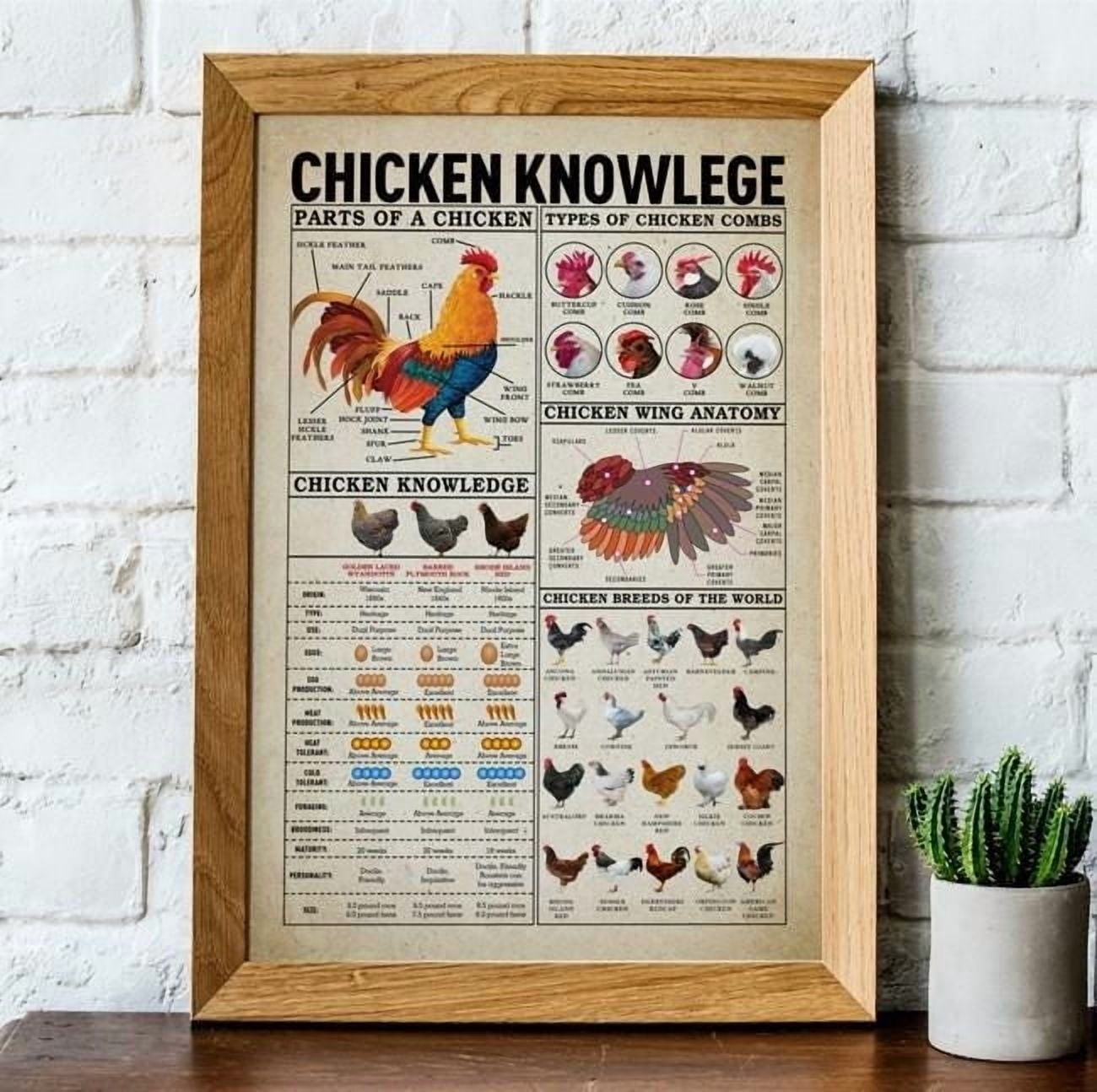 YaHaku Chicken Knowledge Poster, Chicken Breeds Of The World Print ...