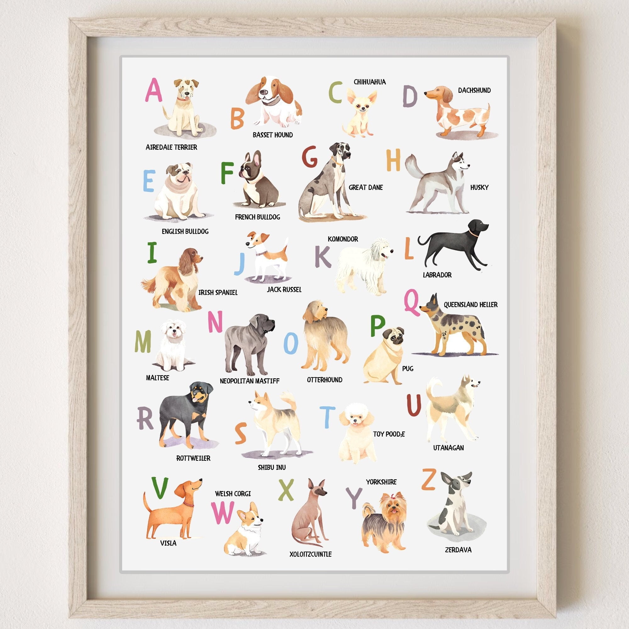 YaHaku Dog Breed Alphabet Poster: A-Z Watercolor - Walmart.com