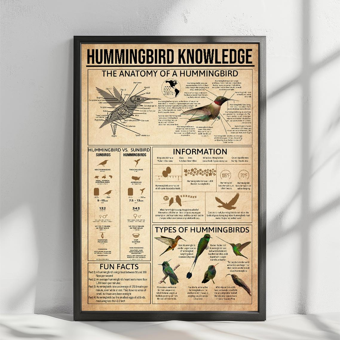 YaHaku Hummingbird Knowledge Poster, Anatomy of a Hummingbird, Types of ...
