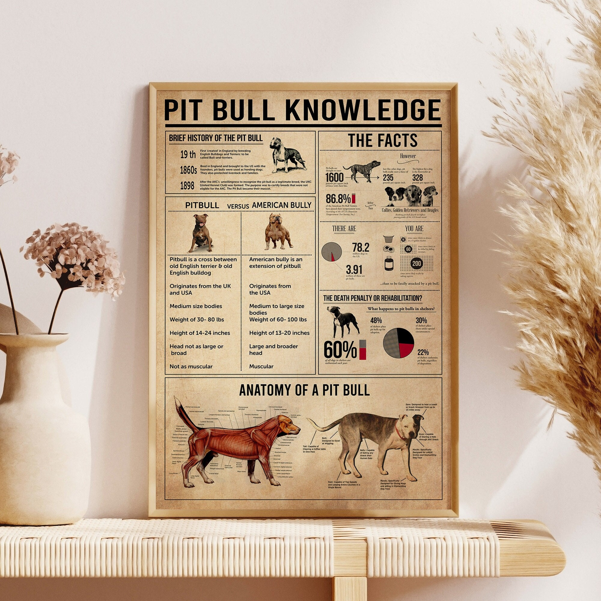 YaHaku Pitbull Knowledge Poster, Pitbull, Pitbull Wall Art, Pitbull ...