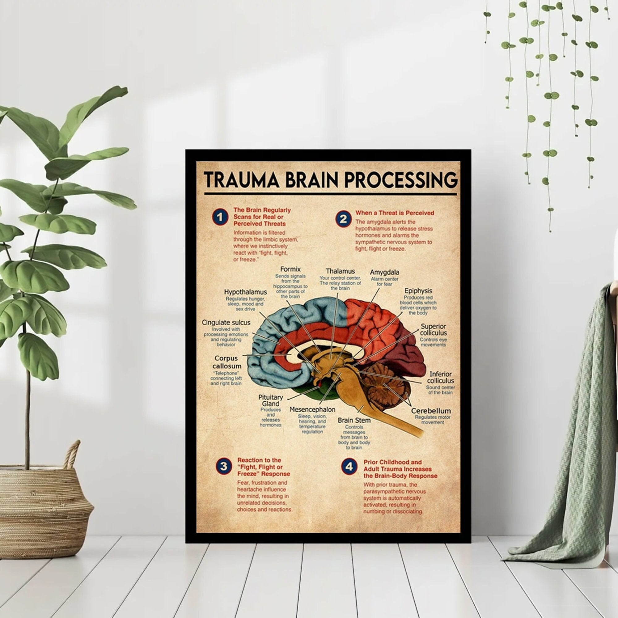 YaHaku Trauma Brain Processing Knowledge Poster, Brain Knowledge Poster ...