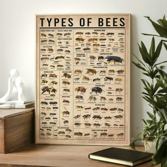 YaHaku Types Of Bees Poster, Bee Lover Gift, All About Bee, Knowledge ...