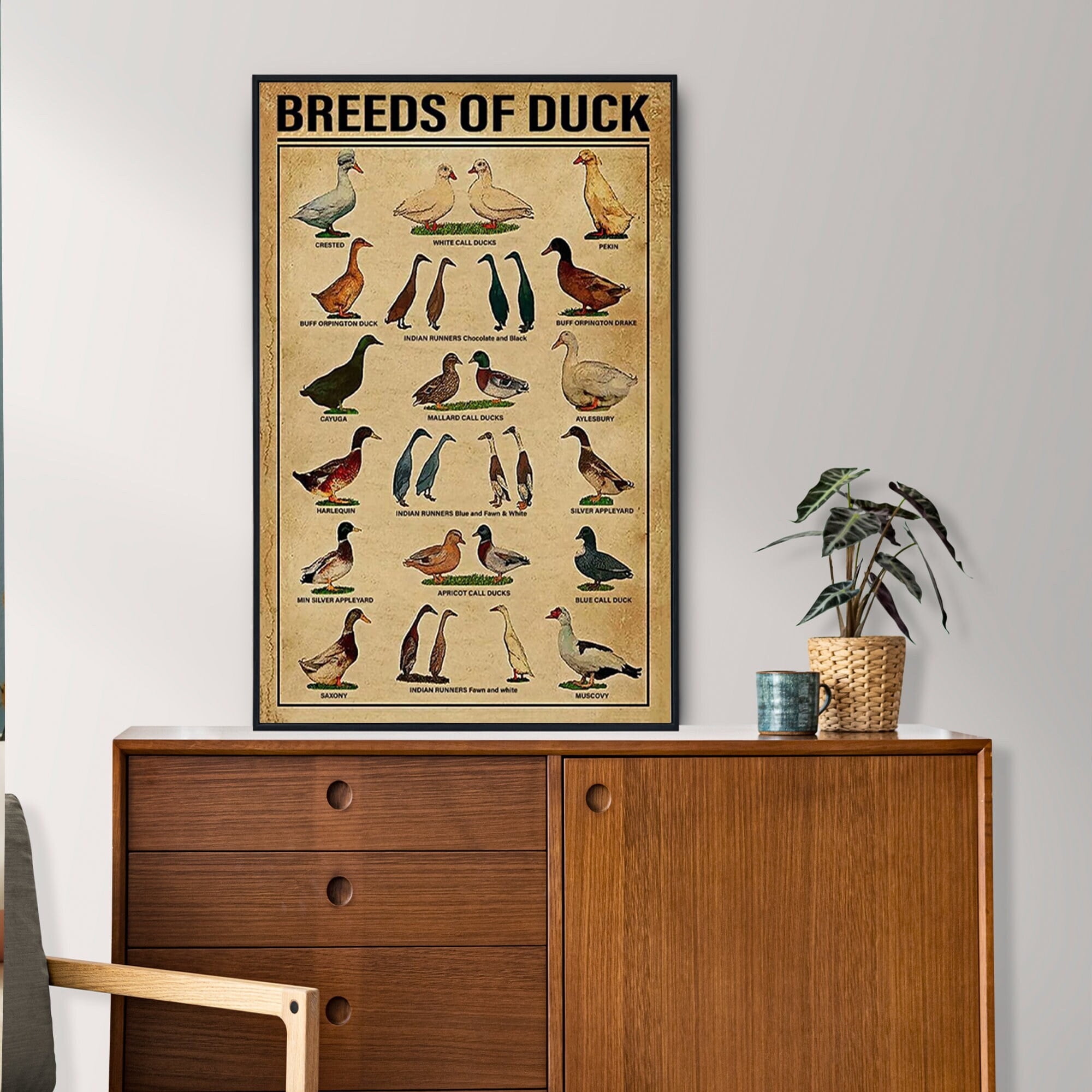 YaHaku Unframed Breeds Of Duck Poster, Duck Lover Gift, Pig Art Print ...