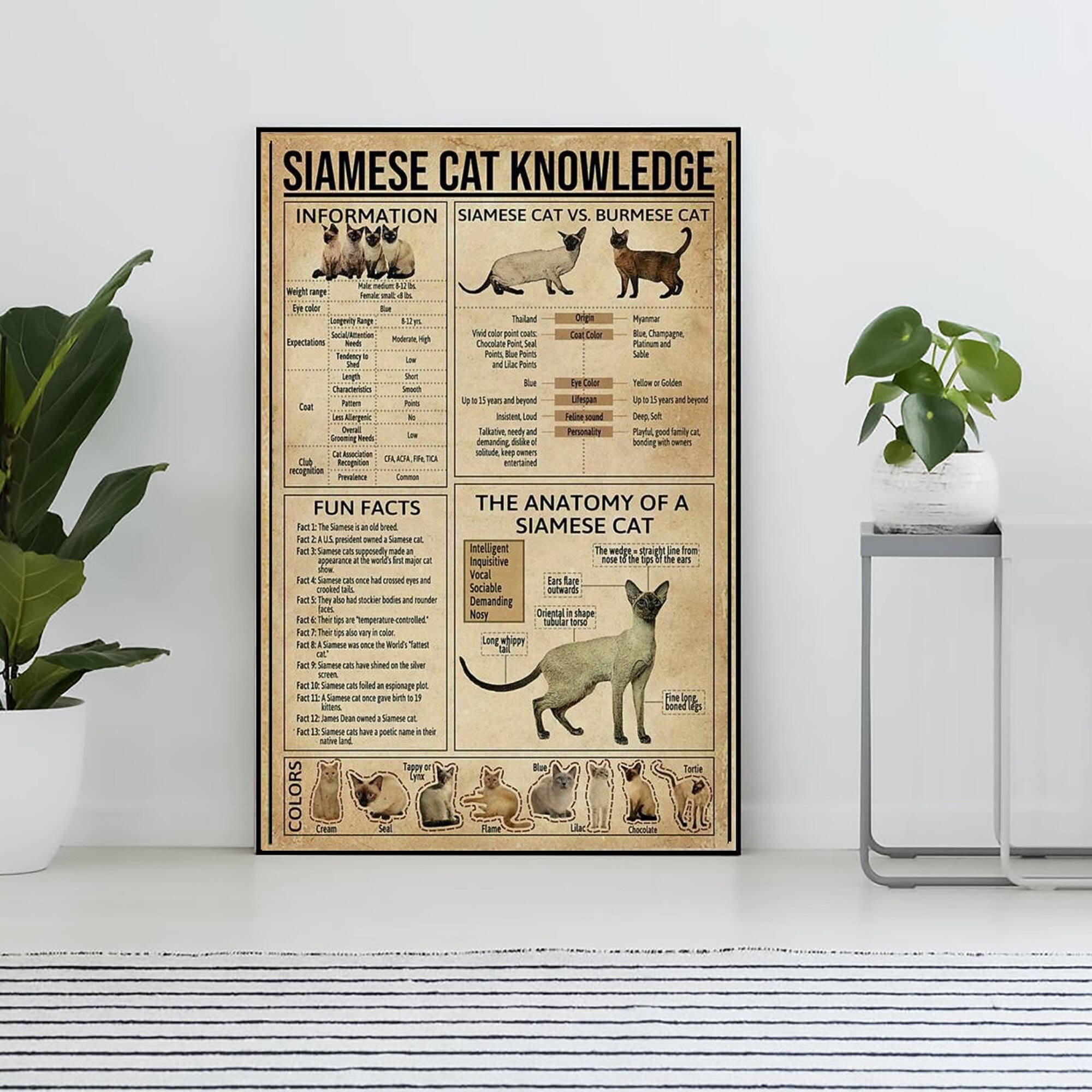 YaHaku Unframed Siamese Cat Knowledge Vintage Poster, Siamese Cat Lover ...
