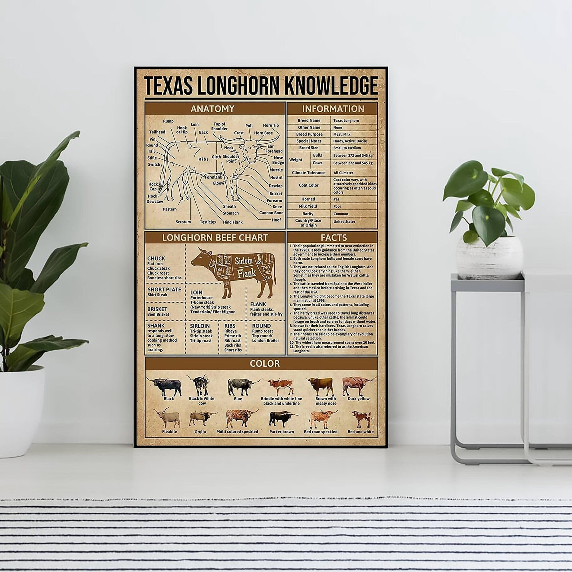 YaHaku Unframed Texas Longhorn Knowledge Vintage Poster, Texas Longhorn ...