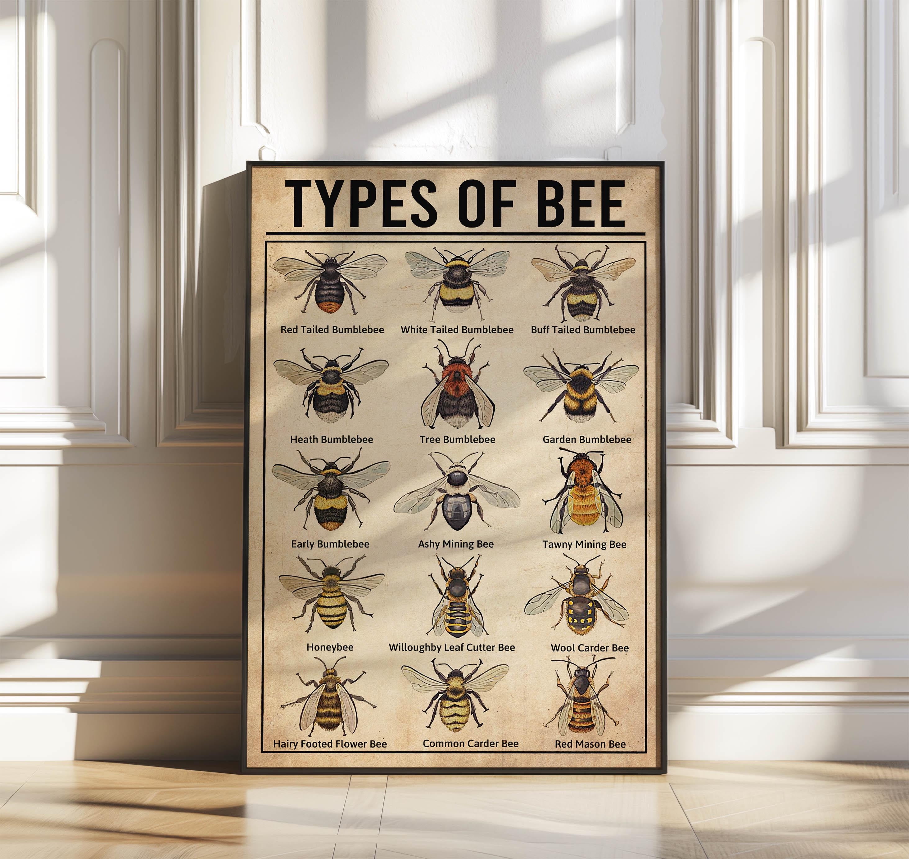 YaHaku Unframed Types Of Bees Poster, Bee Lover Gift, All About Bee ...