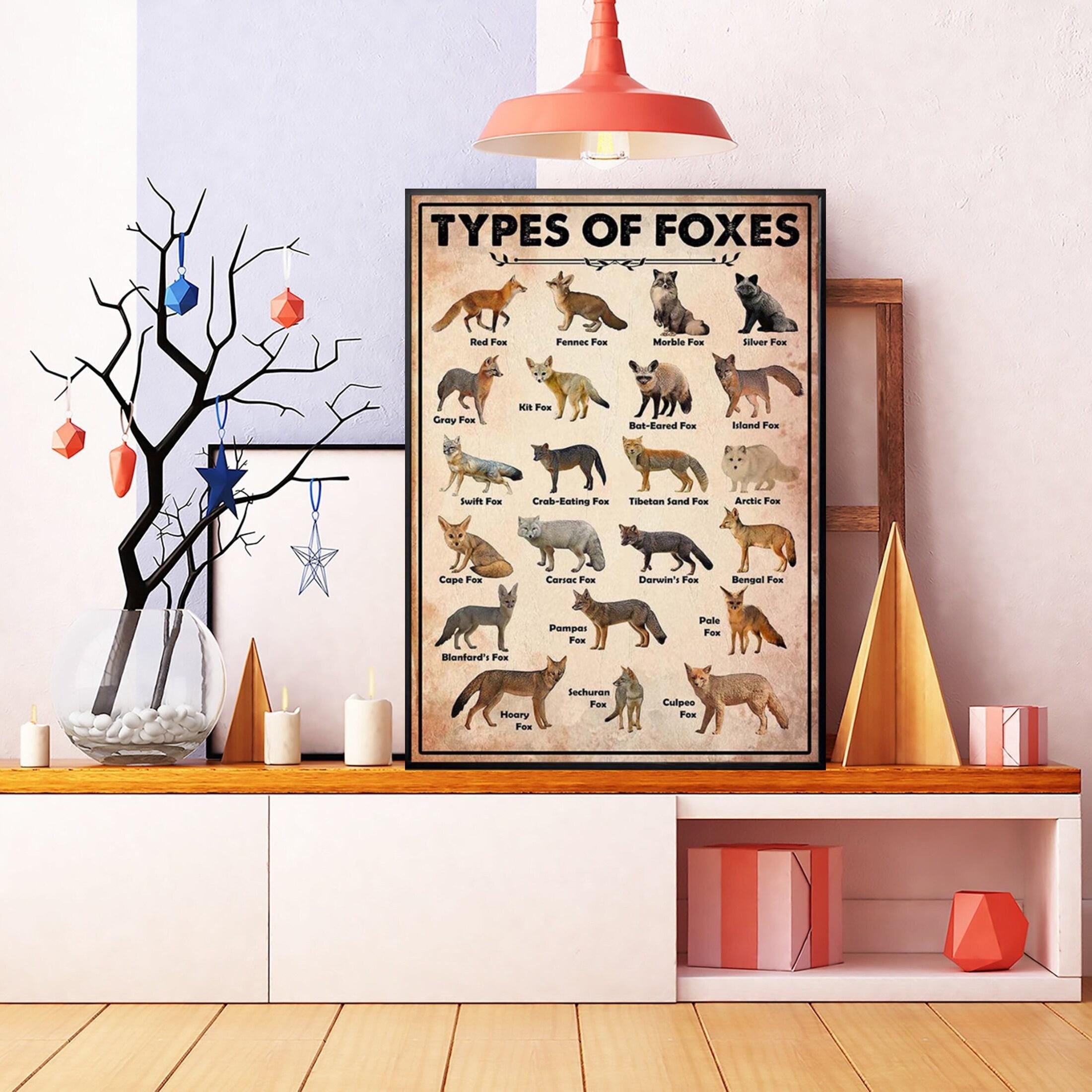 YaHaku Unframed Types Of Foxes Poster, Fox Knowledge Poster, Anatomy Of ...
