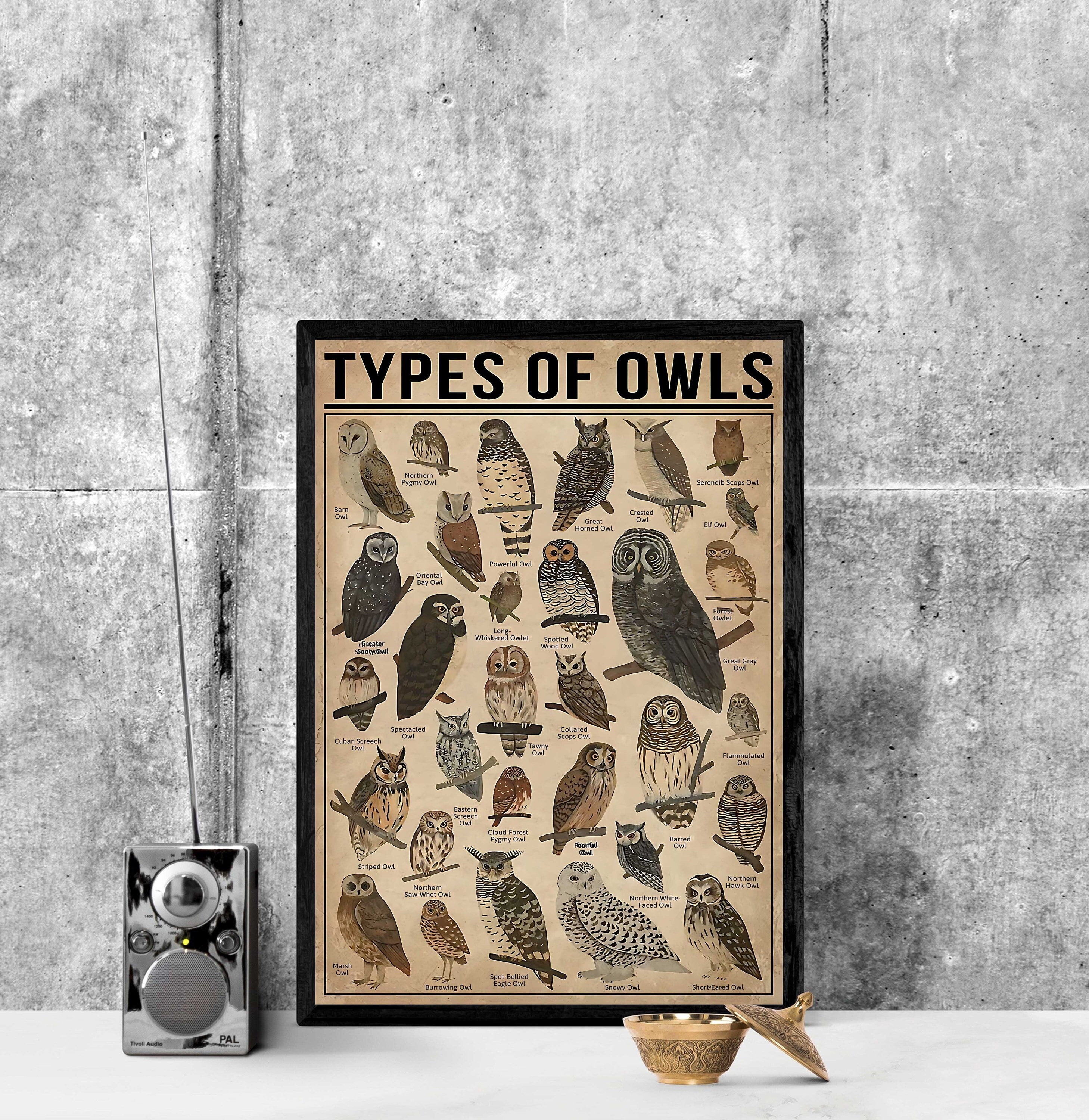 YaHaku Unframed Types Of Owls Vertical , Owl Lover Gift, All About Owl ...