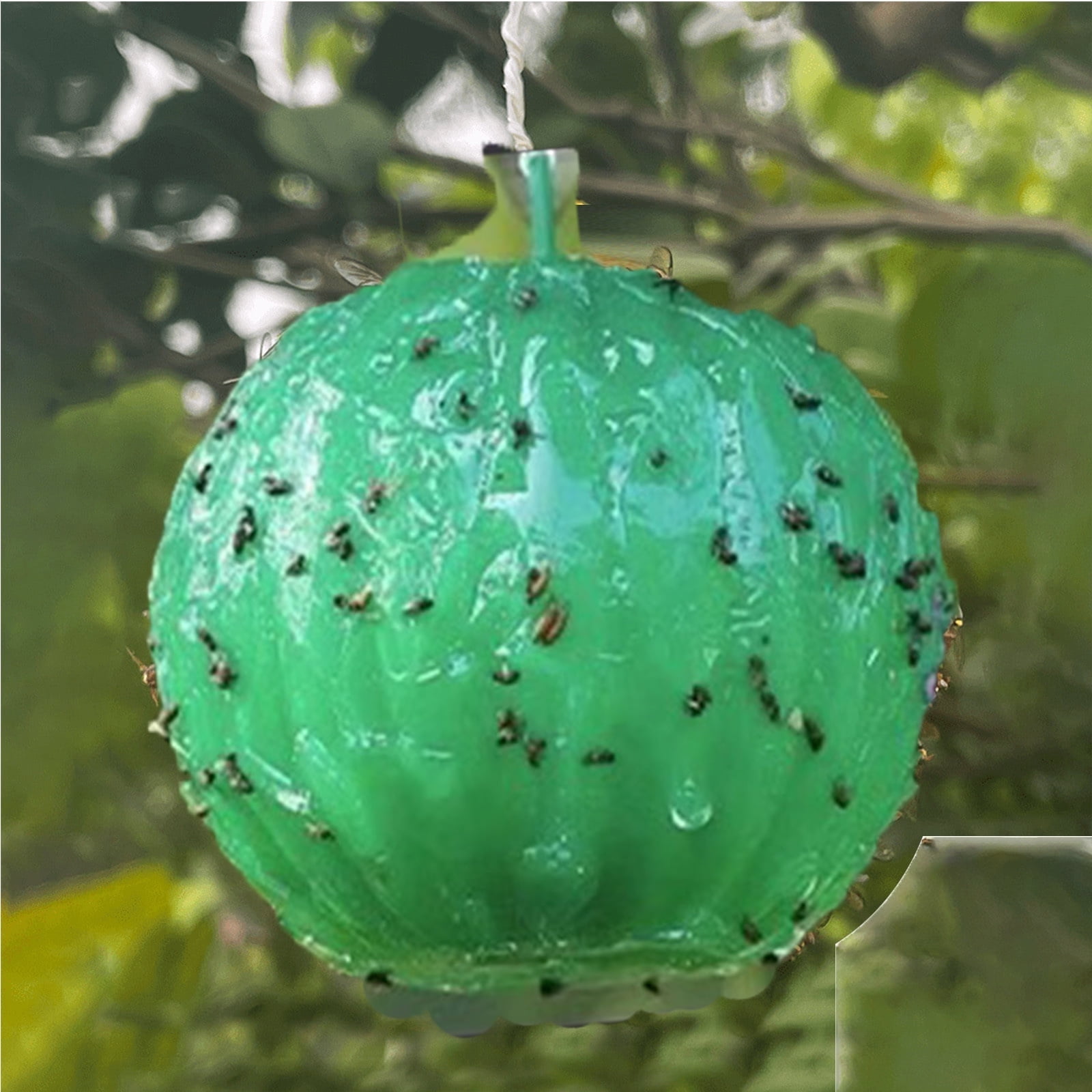 YabuSS Fruit Fly Trap Outdoor Hanging Sticky Fly Stick Wasp Trap Bee ...
