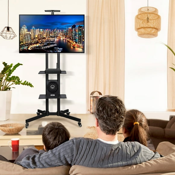 Portable Tv Stands