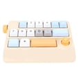 Yajisi USB Wired Mechanical Number Pad Programmable 19 Keys Numeric ...