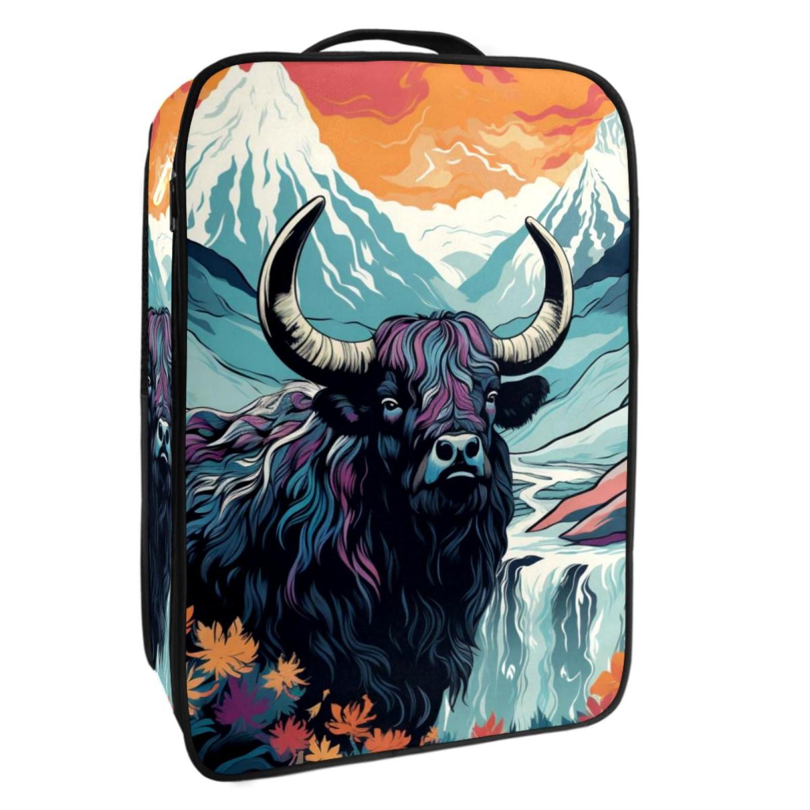 Yak Clear Polyester Shoe Containers - - 23x31cm/9x12in Shoe Storage ...