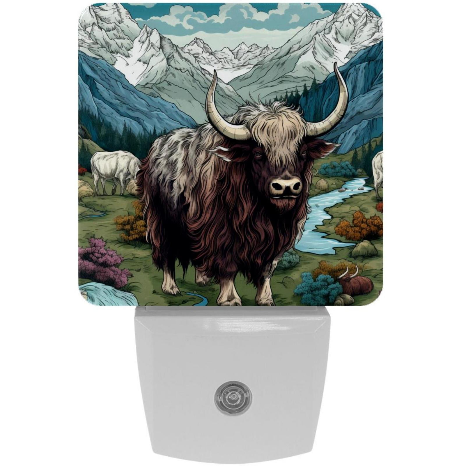 Yak LED Square Night Light - Energy Efficient and Stylish Illumination ...