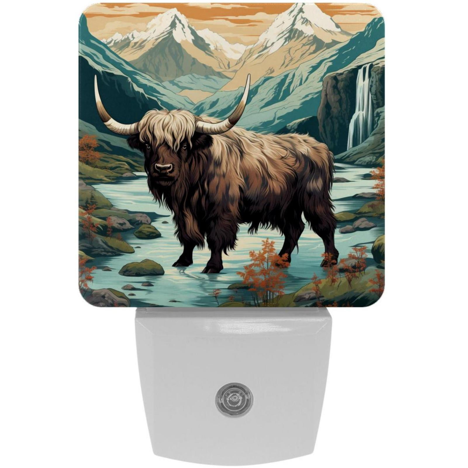 Yak LED Square Night Lights- Energy Efficient and Stylish Illumination ...