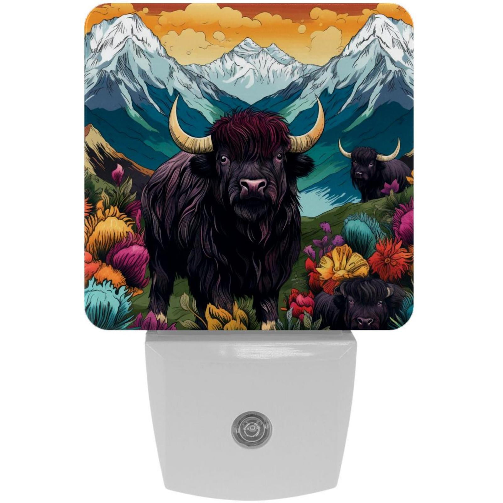 Yak LED Square Night Lights - Energy Efficient and Stylish Room ...