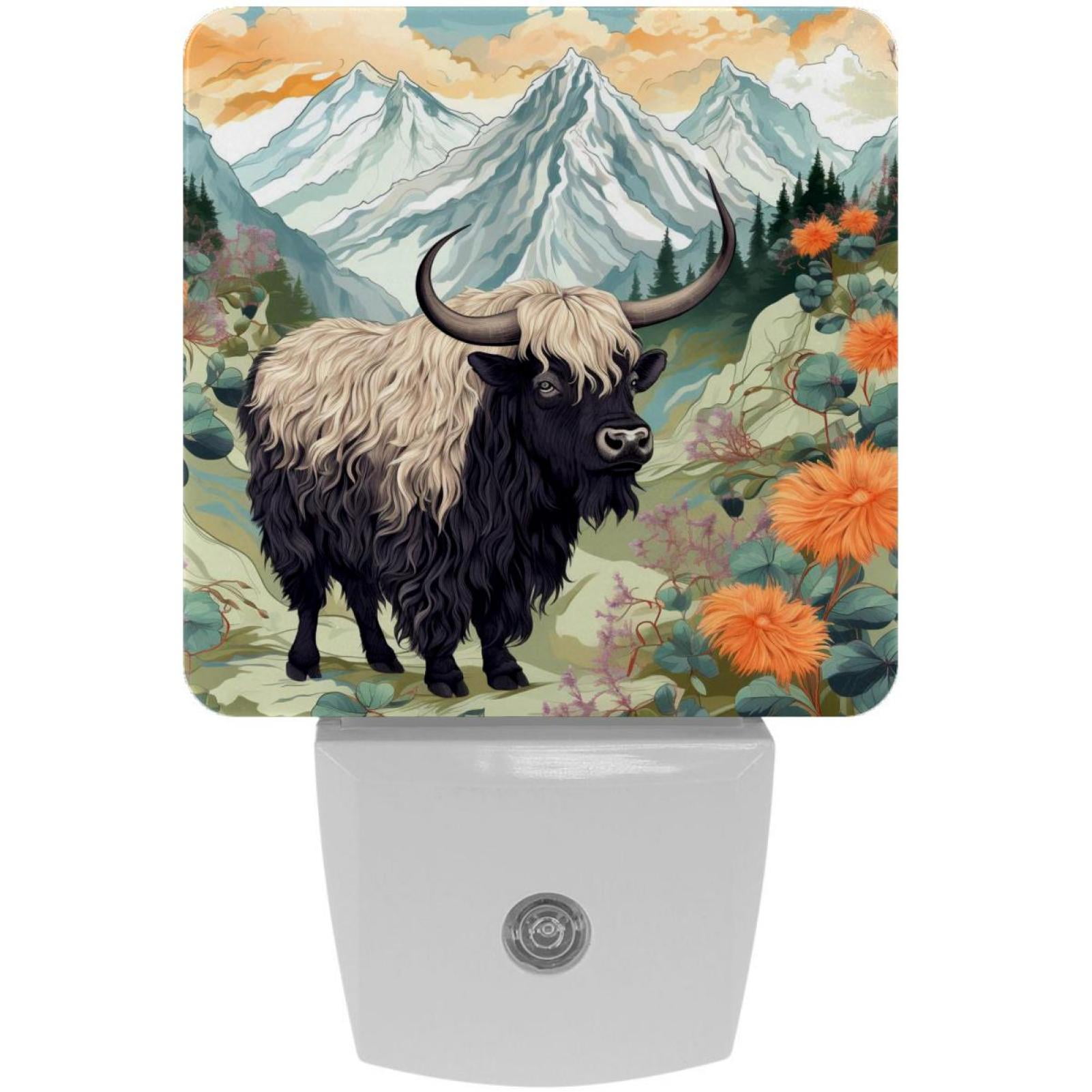 Yak LED Square Night Lights - Illuminating Your Space with Style ...