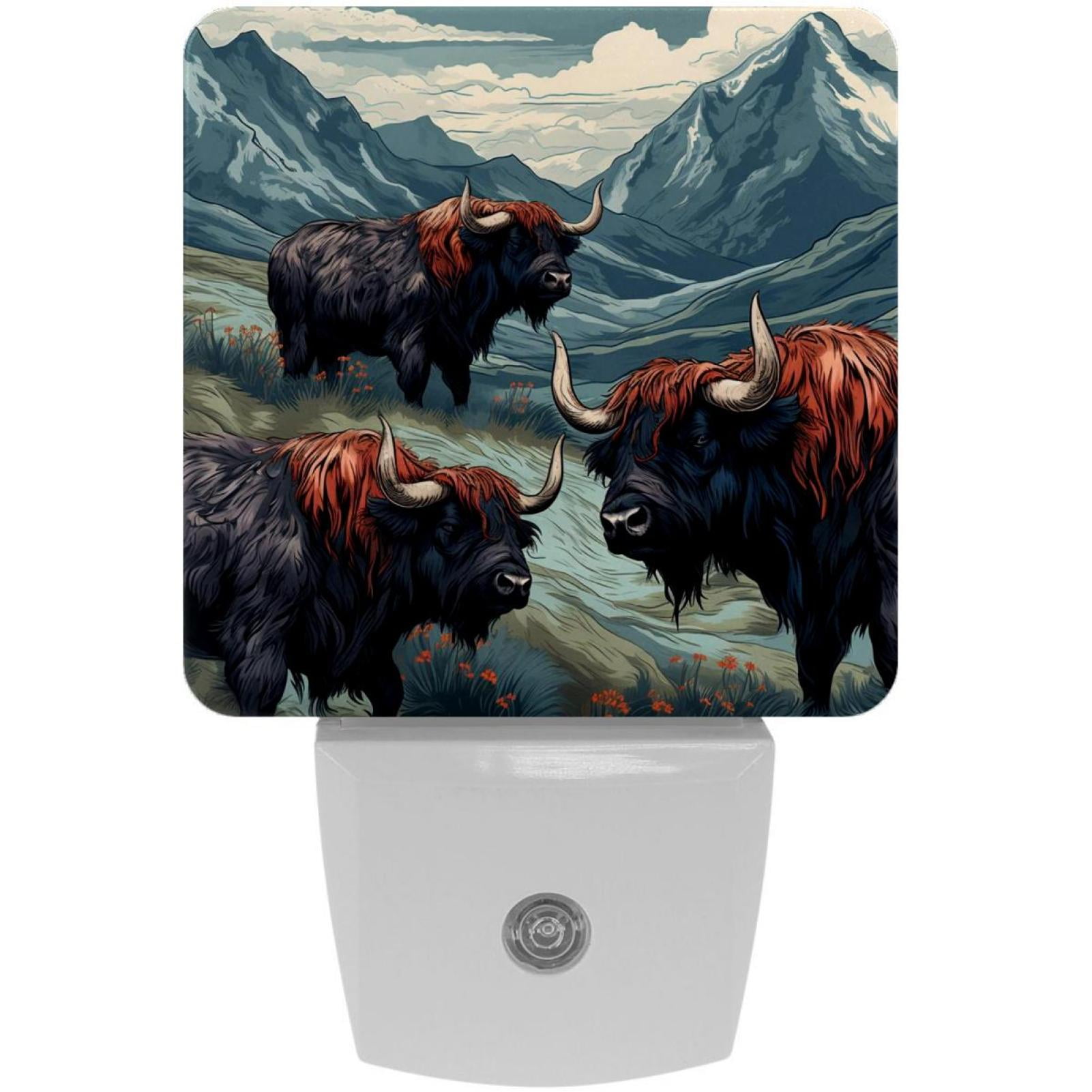 Yak Square LED Night Lights - Small, Portable, and Energy-Efficient ...