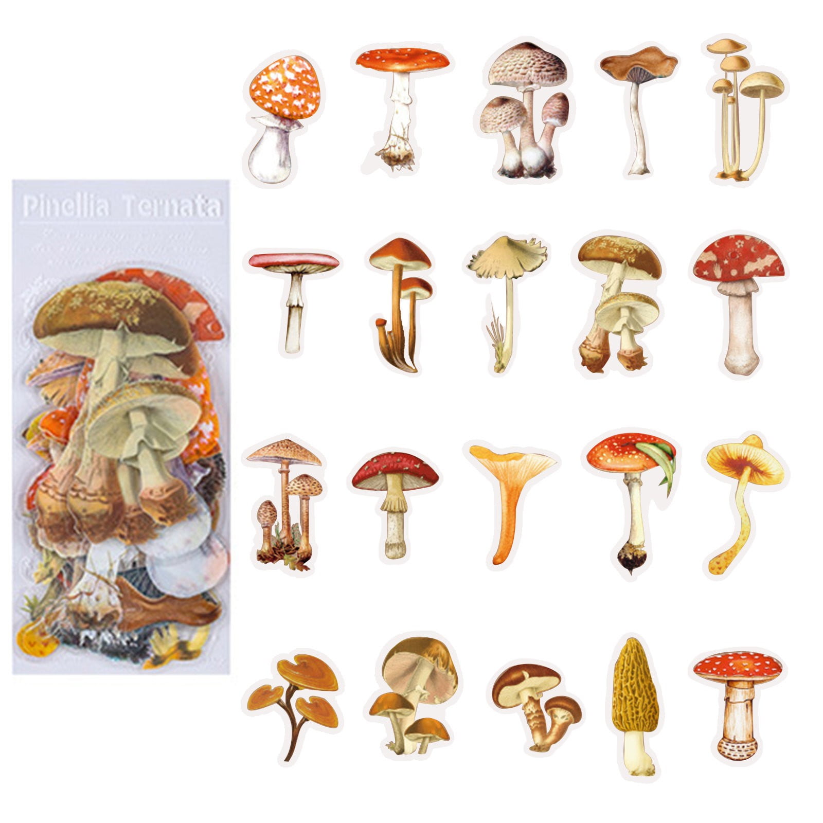 Yakbaofuo Stickers Memory Garden PET Scrapbook Stickers Set Vintage ...