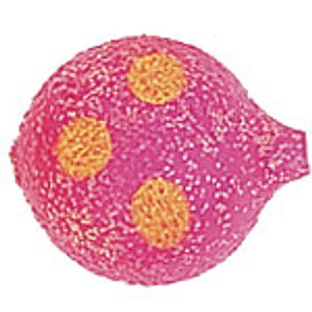 Yakima Bait Corkies Size 8 (100 Pack) - Walmart.com