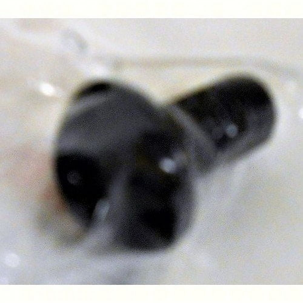 Yamaha 90111-10003-00 Bolt; 901111000300 - Walmart.com