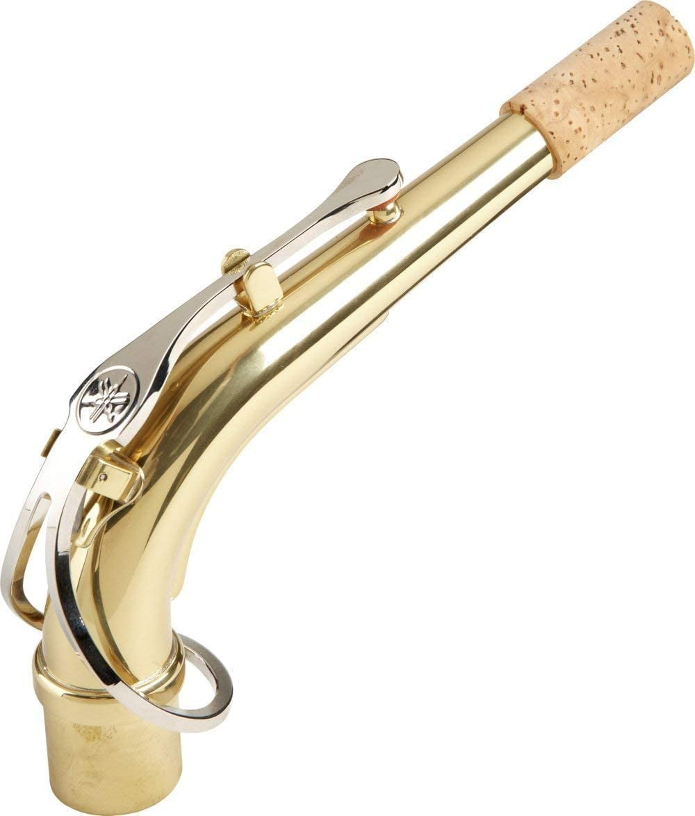 Saxophone Pipe