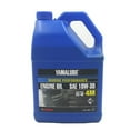 Yamaha OEM Yamalube 4M 10W30 4-Stroke Outboard Marine Oil, 1-Gallon ...