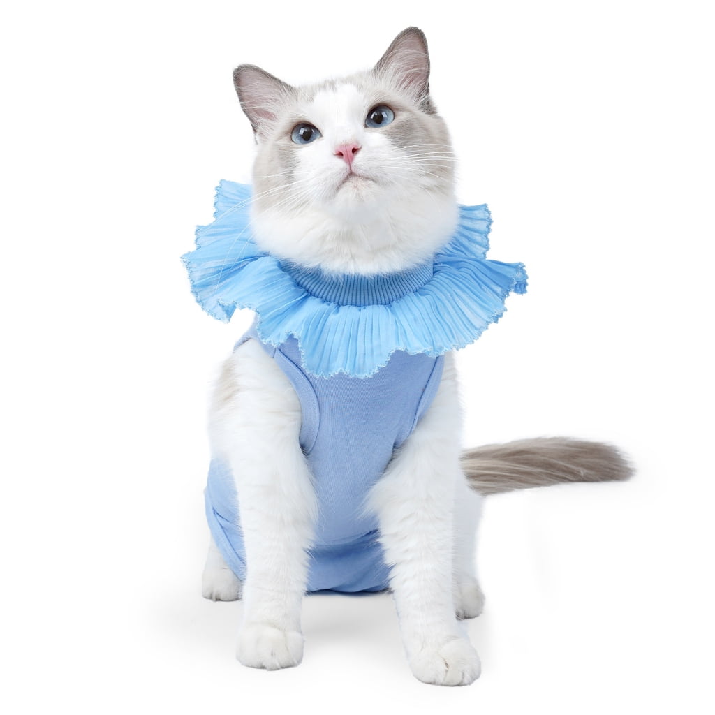Yammee Cats Recovery Bodysuit for Cats Prevents Wound Licking Post ...