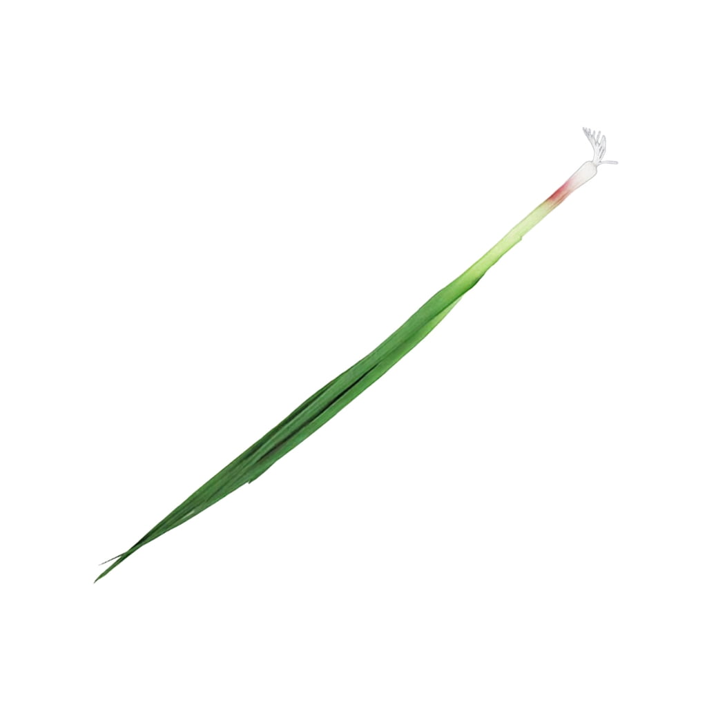 Yammee Simulated Scallion Fake Small Scallion Model Green Plant ...