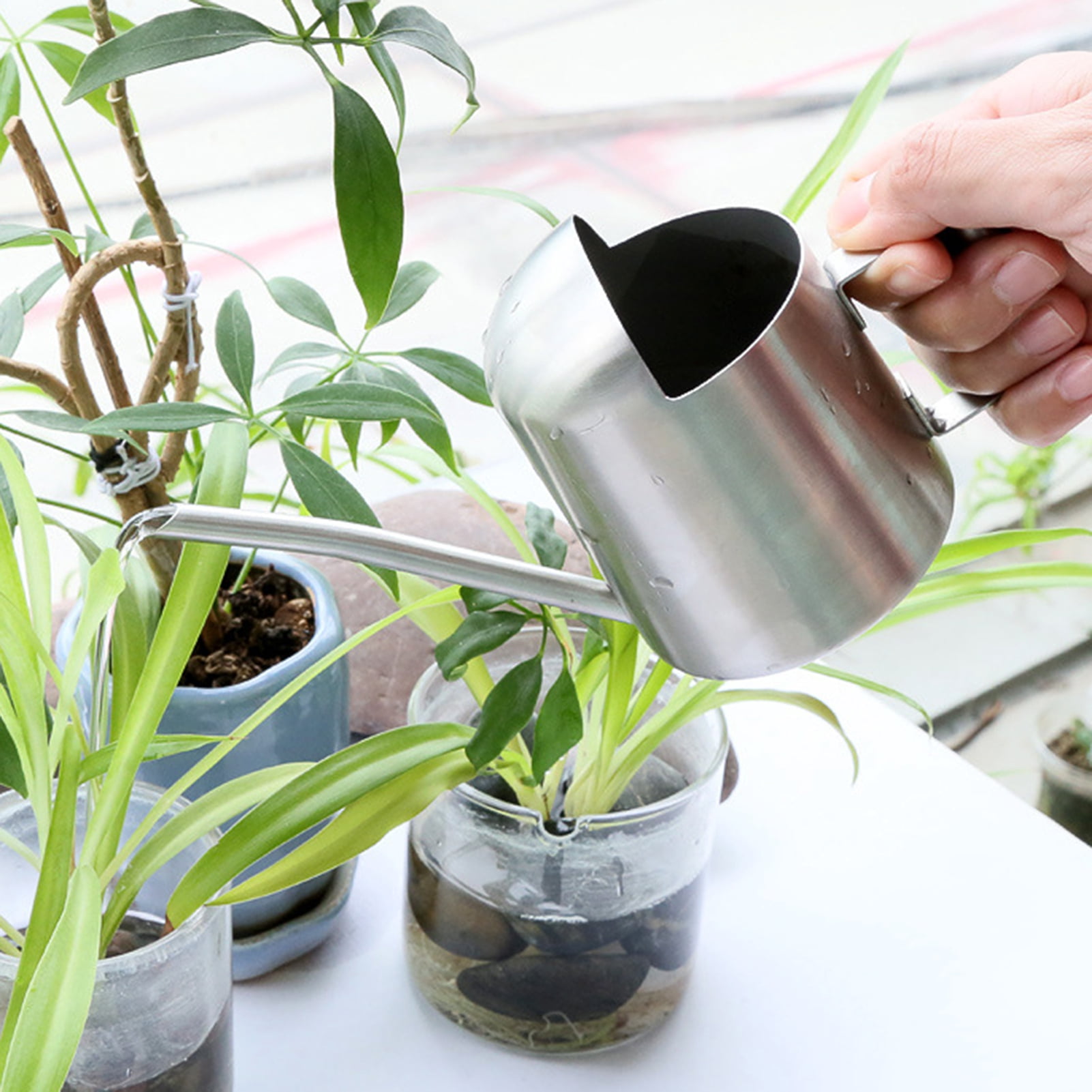 Yanerim 10OZ/300ML Mini Watering Can Stainless Steel Long Spout ...