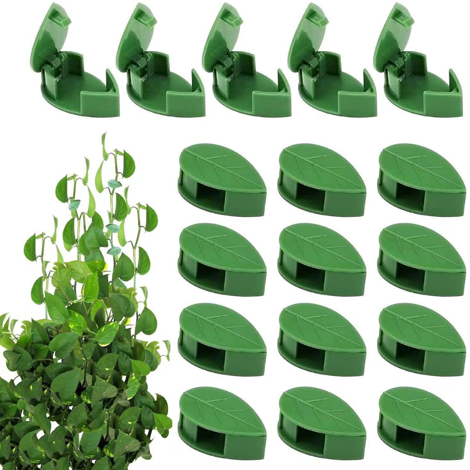 Yanerim 30Pcs Climbing Plant Wall Clips Leaf-Shaped Plant Fixer with ...